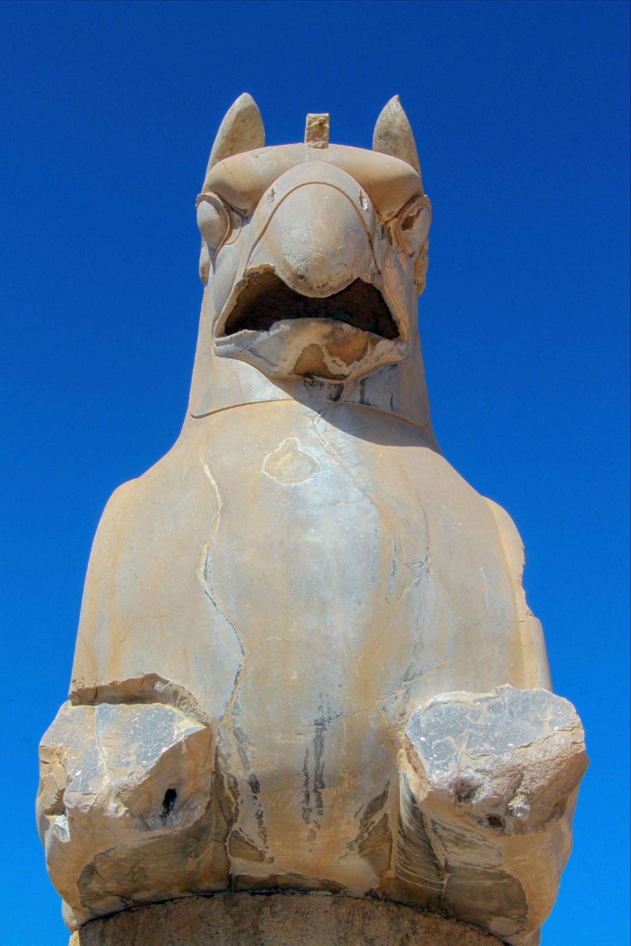 تخت جمشید - نقشه نشان